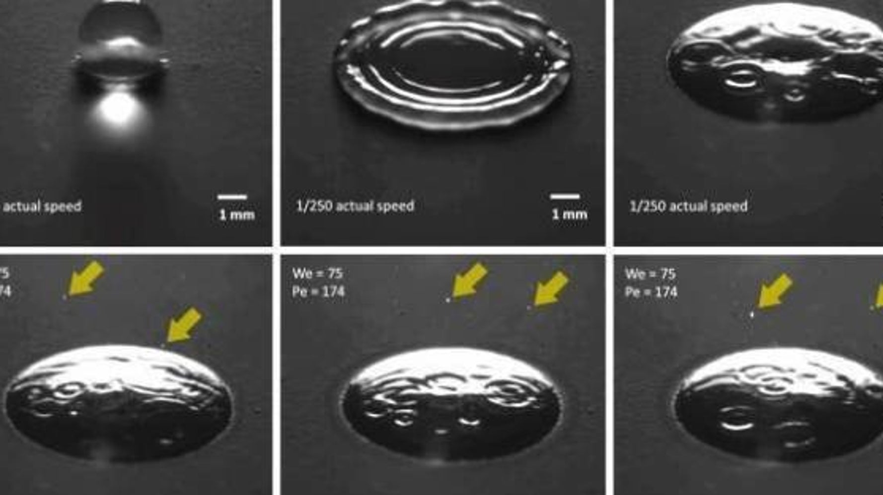 Puede que no sepas qué es el petricor, pero seguro que te gusta (VÍDEO ...