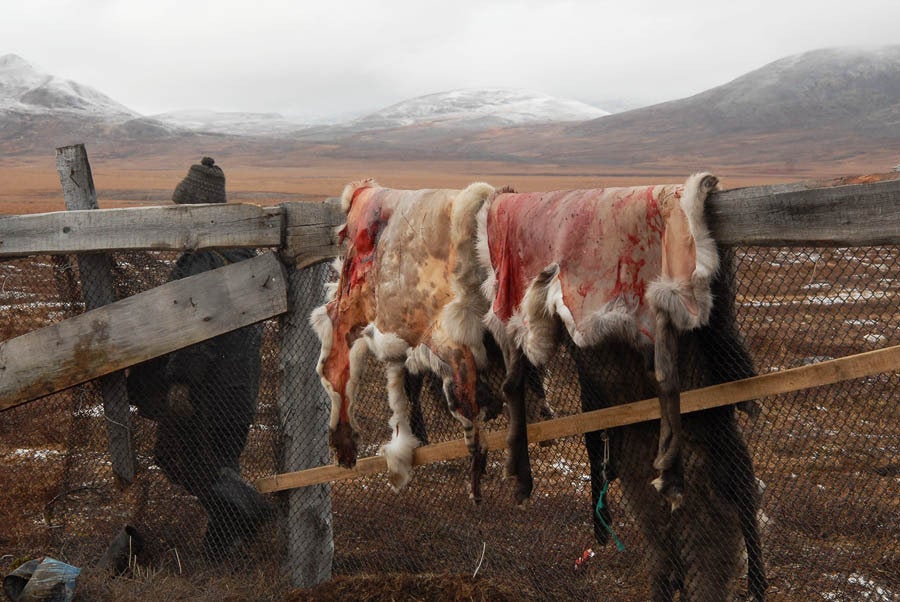 La dura vida de los últimos nómadas (FOTOS) | El HuffPost Internacional
