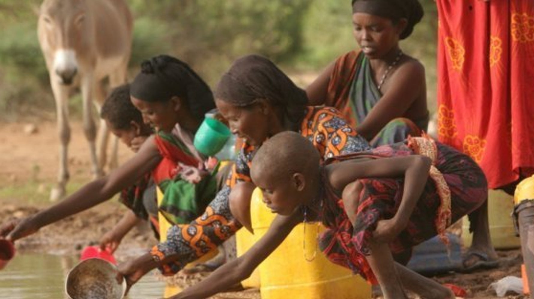 60 años de Oxfam Intermón: agradecimientos, retos y compromisos | El ...