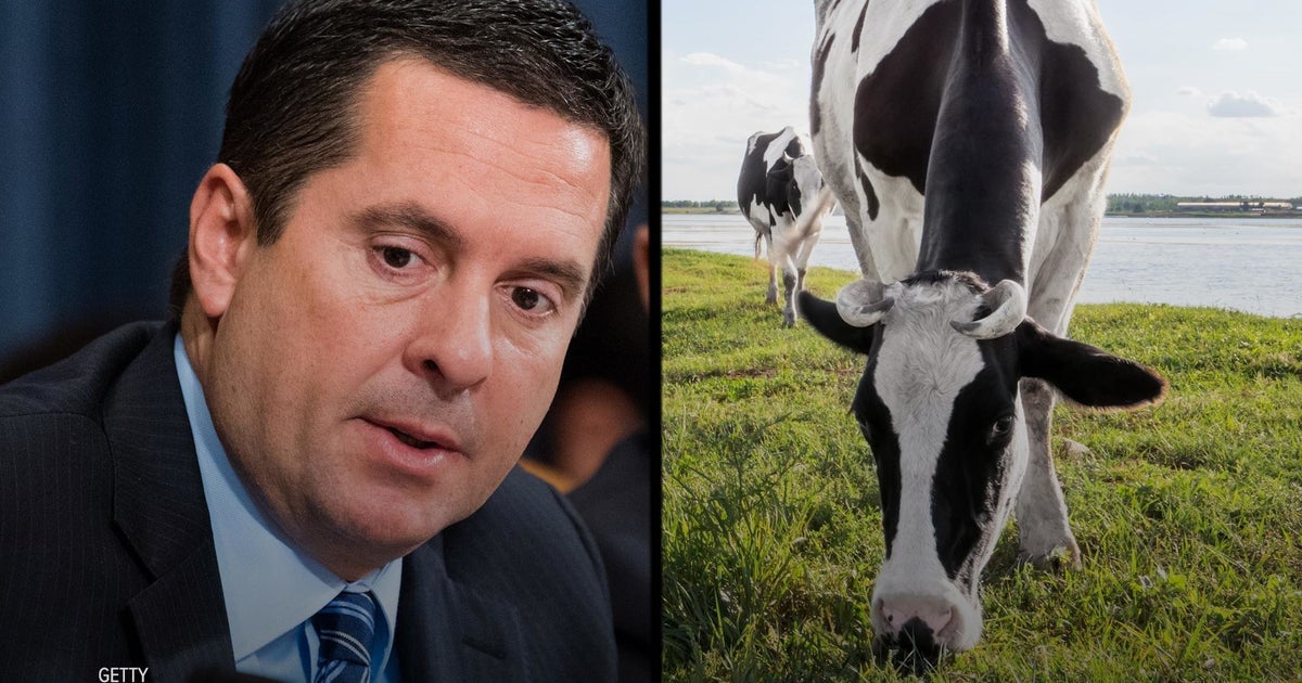 DevinCow Beats Devin Nunes | HuffPost Videos