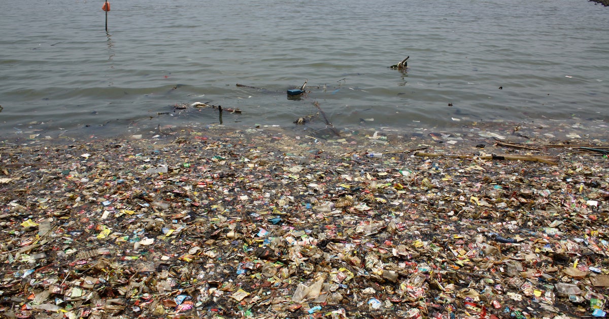 Le "8e continent" de plastique trois fois plus grand que la France, c ...