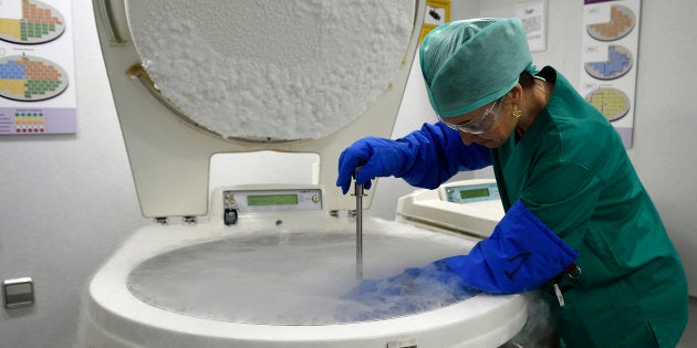 Des chercheurs ont réussi à réchauffer parfaitement des organes ...