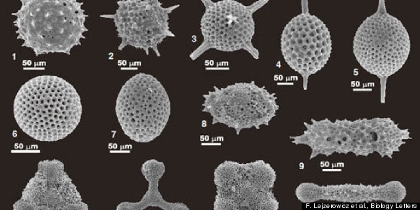 Deep Sea DNA Discovered From Fossils Of Ancient Single-Celled Creatures ...