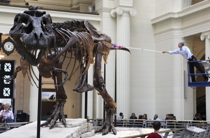 Field Museum Sleepover: Spend The Night With Sue | HuffPost Chicago