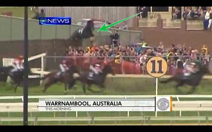 Horse Jumps Into Crowd At Grand Annual Steeplechase In Australia ...