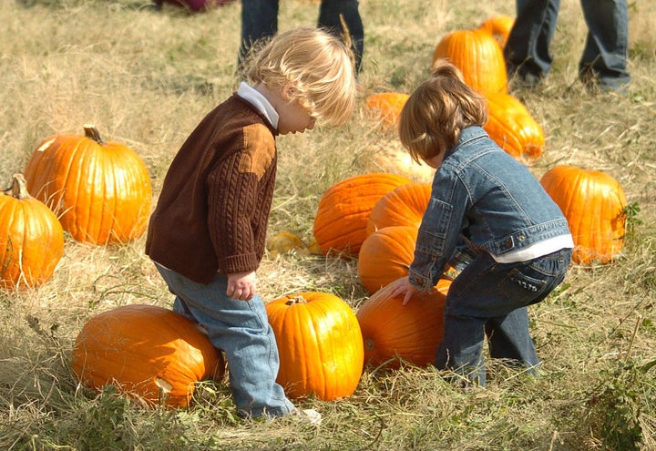 Autumn Arrives! Best Denver Fall Festivals | HuffPost Denver