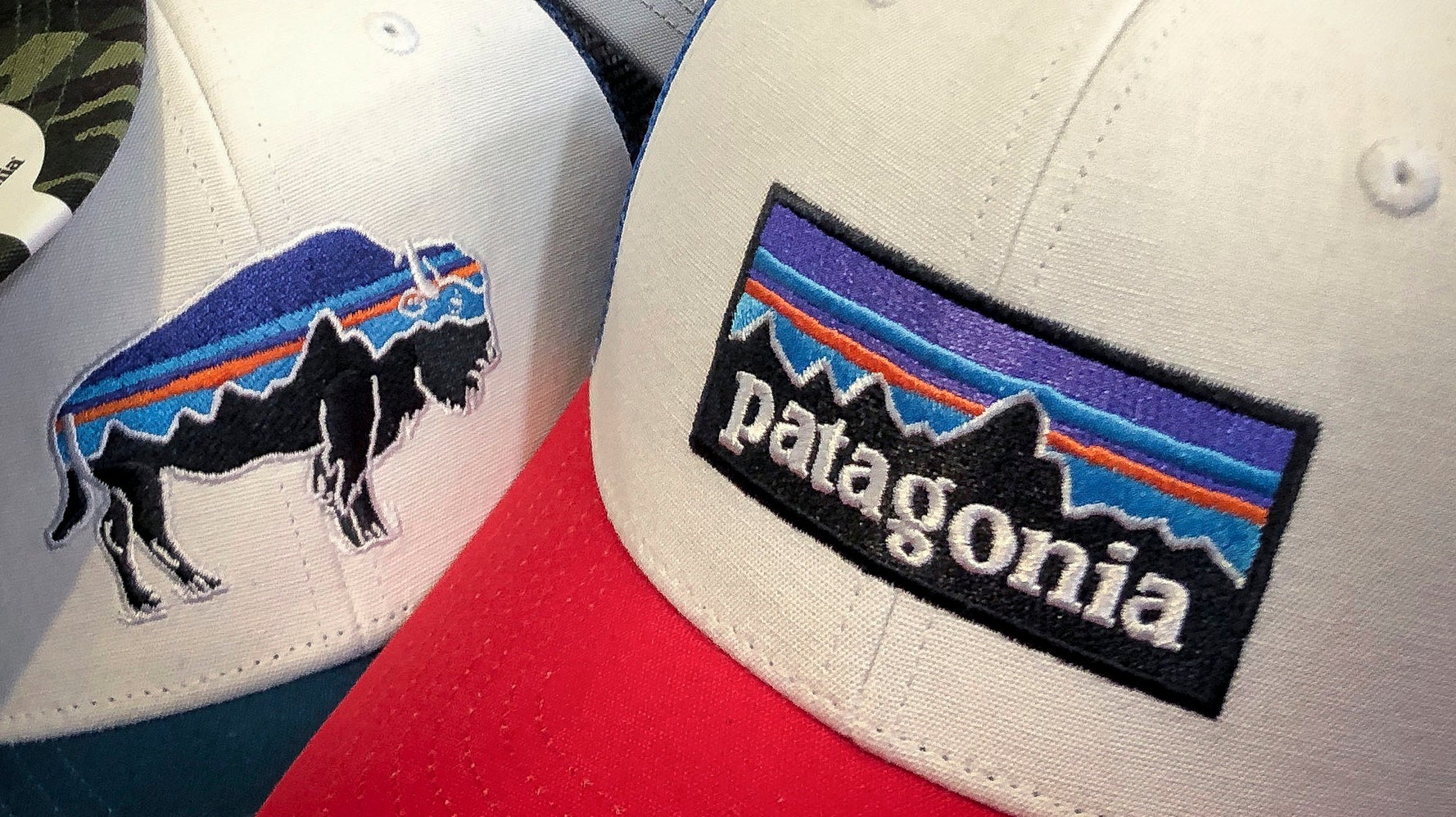 Patagonia Takes A Stand Against Companies That Aren't Working To Better ...