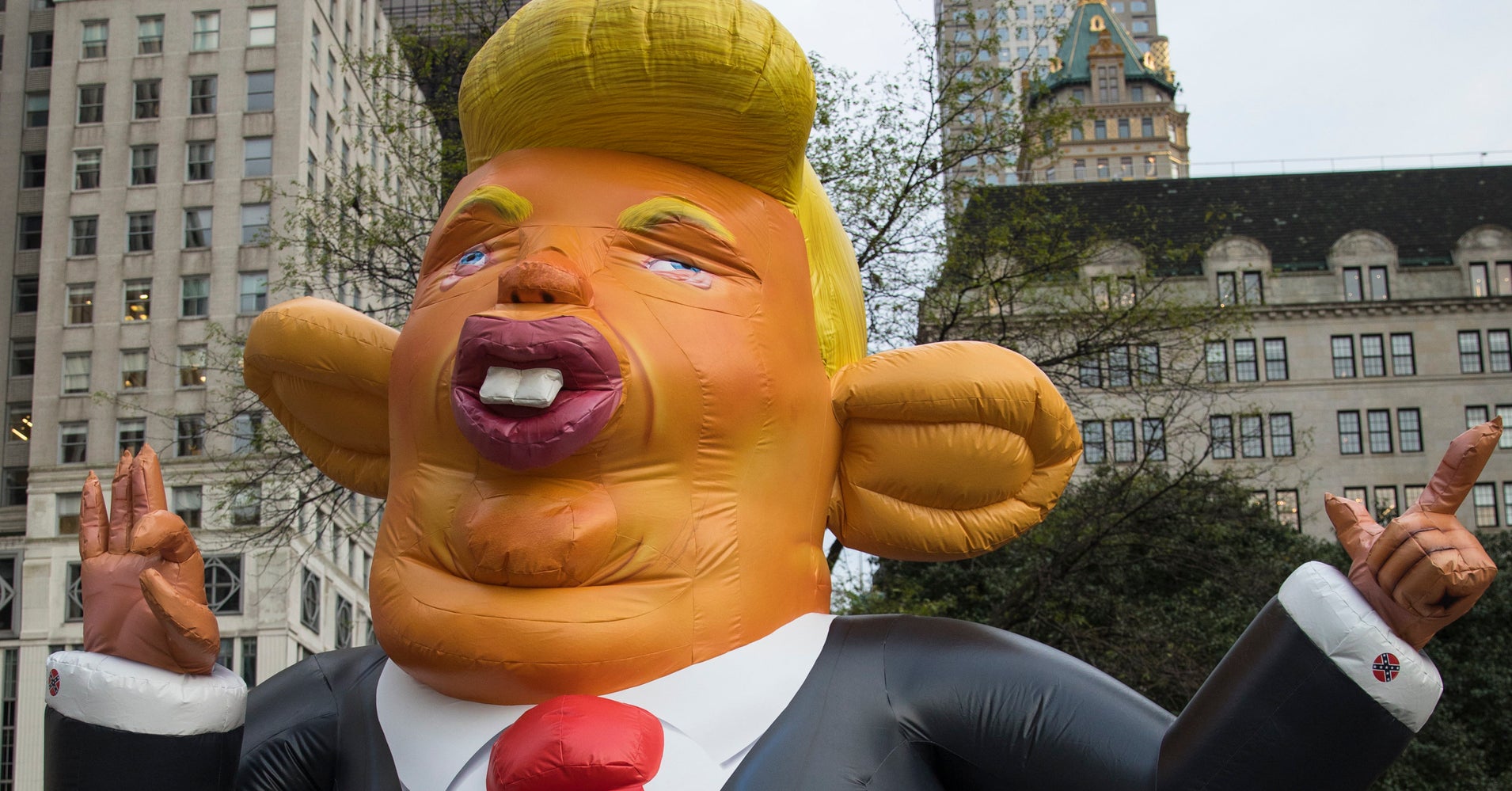 The White House Has A Rat Problem And Everyone's Making The Same Jokes ...