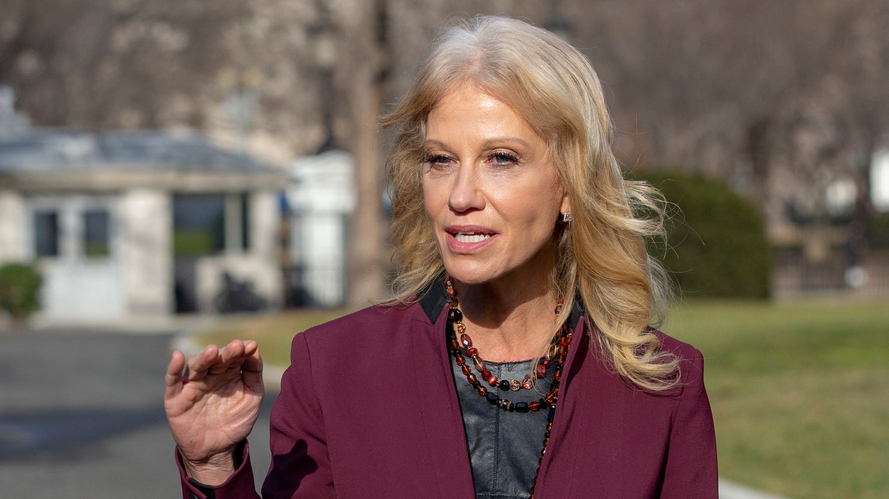 Charges Dropped Against Woman Accused Of Assaulting Kellyanne Conway At