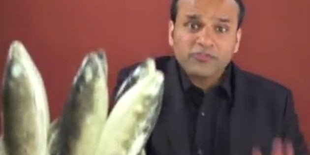 One Pound Fish: la storia di Muhammad Shahid Nazir, da pescivendolo a ...