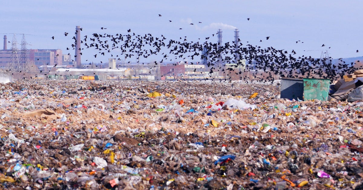 The Shocking State Of Food Waste | HuffPost UK Life