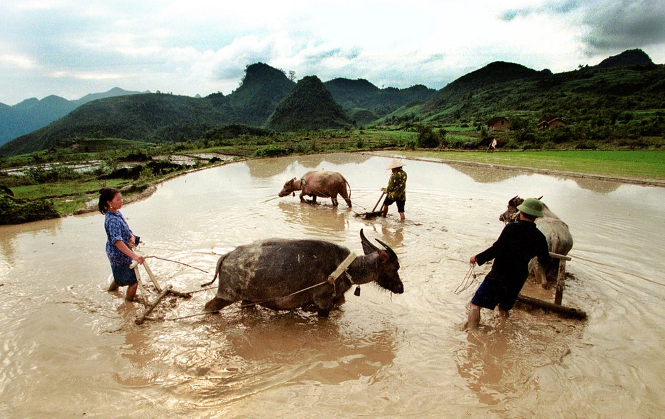 Daily Life: Photos Show The Enchanting Beauty Of Vietnam | HuffPost