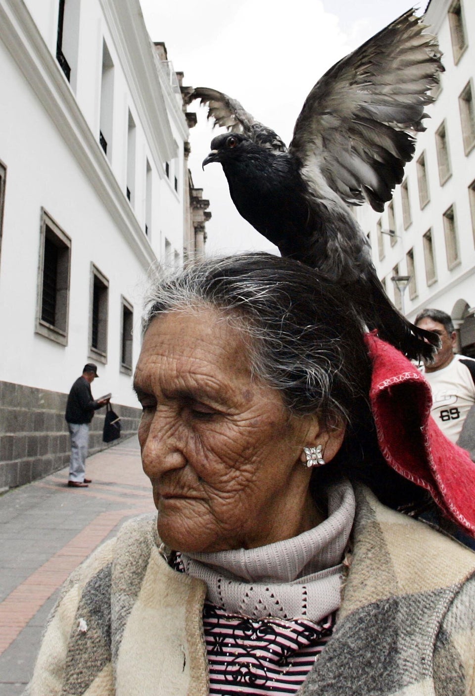 Daily Life In Ecuador: The Stunning Colors Of Mountain Life (PHOTOS ...