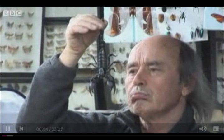 George Brossard: The Canadian Insect Collector Who Eats His Specimens ...