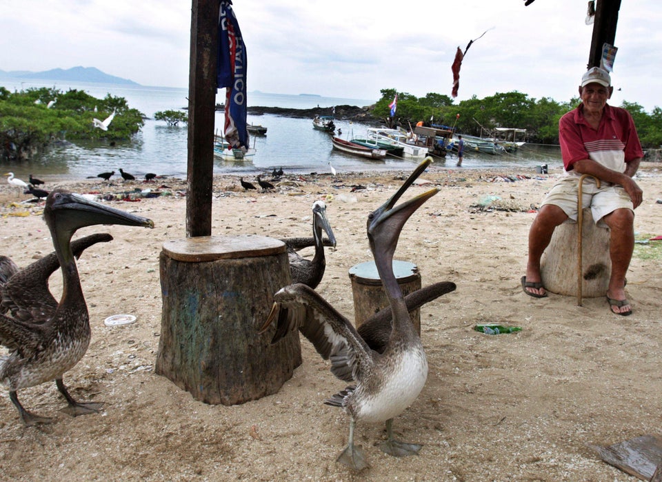Daily Life In Panama: The Breathtaking Beauty Of Coastal Life (PHOTOS ...