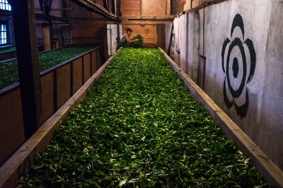 The Extraordinary Makers Of India's Most Expensive Tea | HuffPost The ...