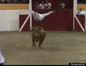 Men Jump Over Cows In France (VIDEO) | HuffPost The World Post