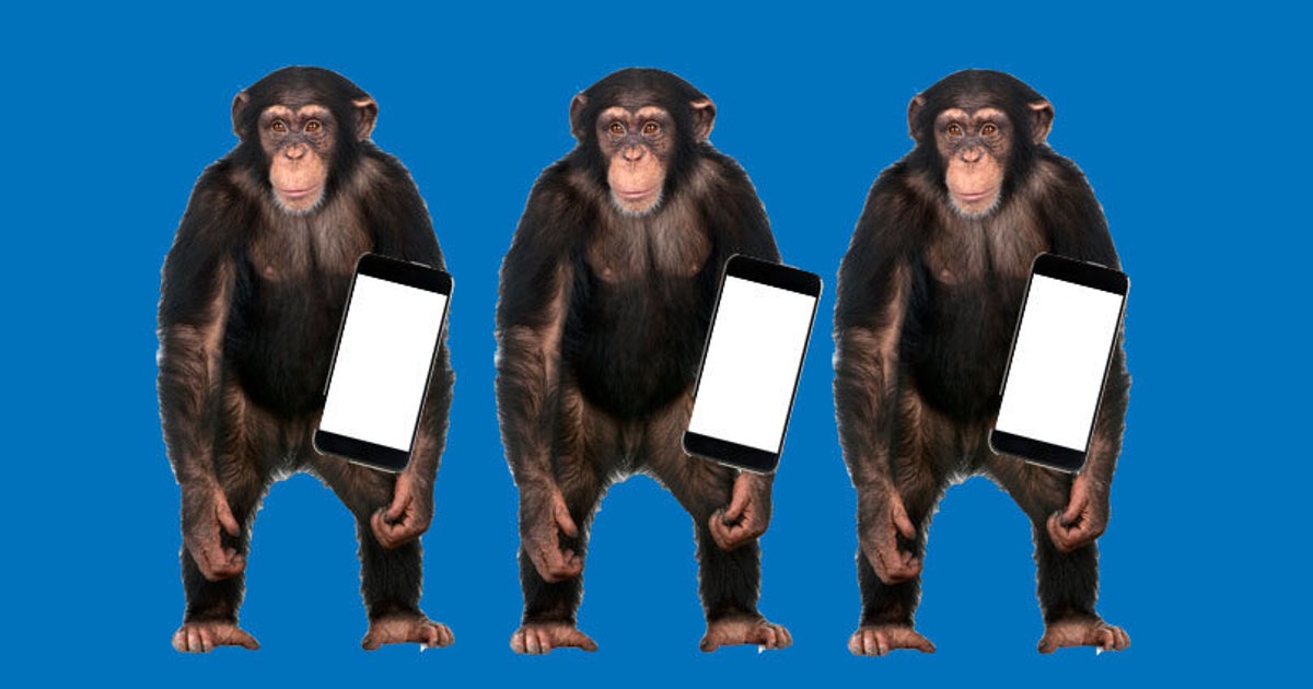 This Chimp Knows How To Use Instagram Better Than Us (And It's Slightly ...