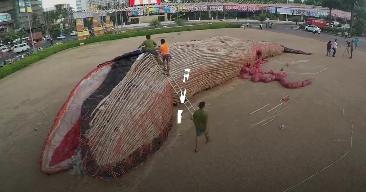 Disturbing ‘Dead Whale’ Sculpture | HuffPost Videos