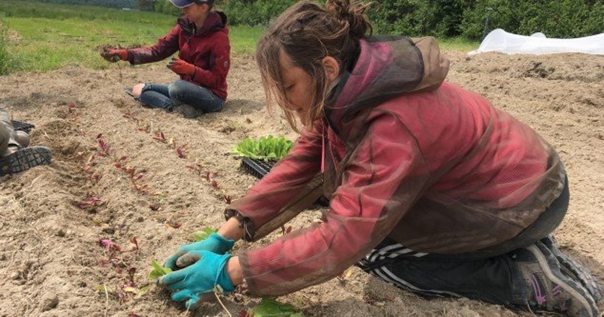 Le « wwoofing » gagne en popularité en Abitibi-Témiscamingue | HuffPost ...