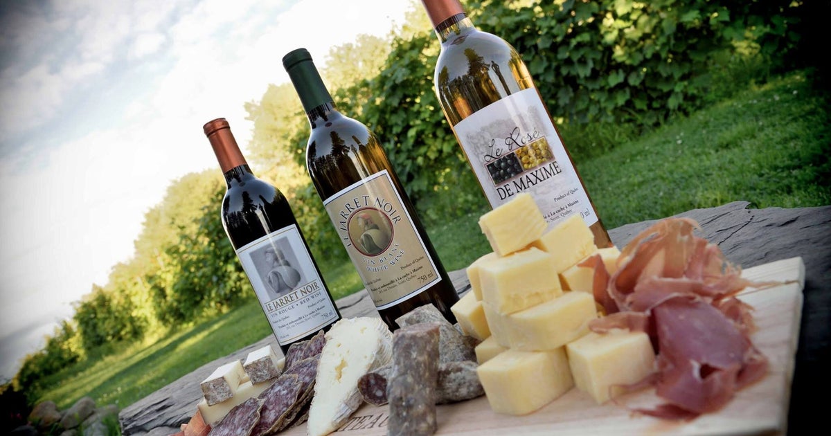 12 vins québécois parmi les plus primés et les plus populaires ...