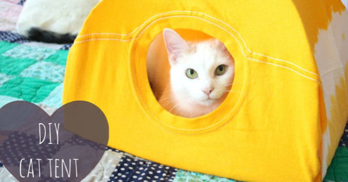 Voici Comment Fabriquer Une Tente Pour Chat Avec Un Vieux T Shirt