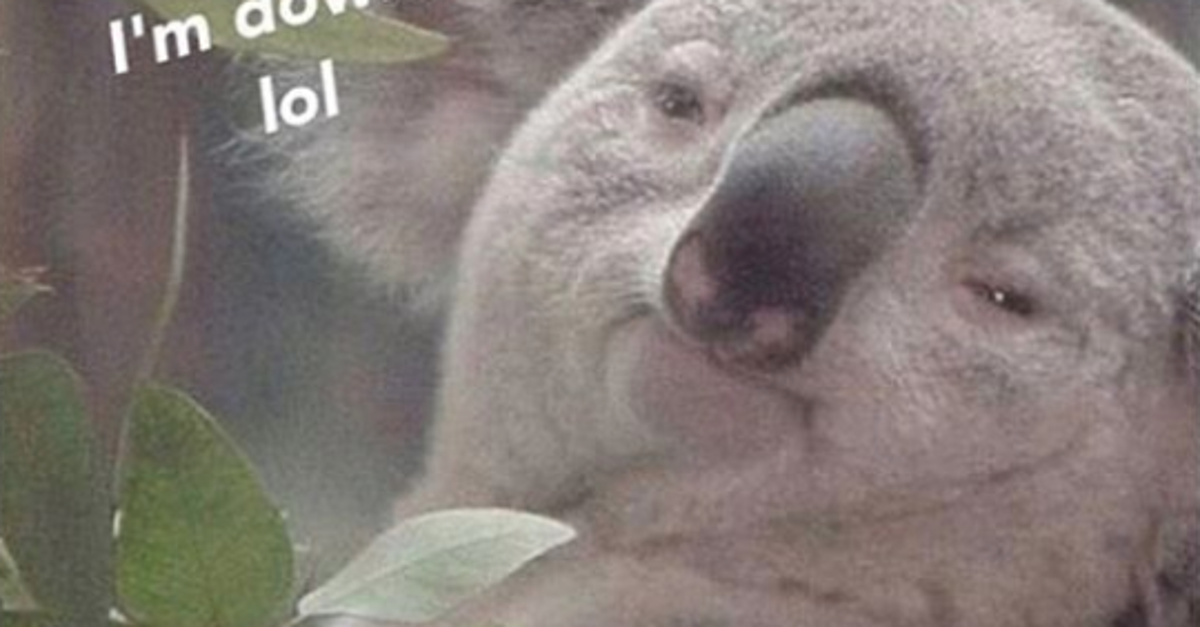 15 comptes de mèmes à suivre absolument | HuffPost Divertissement