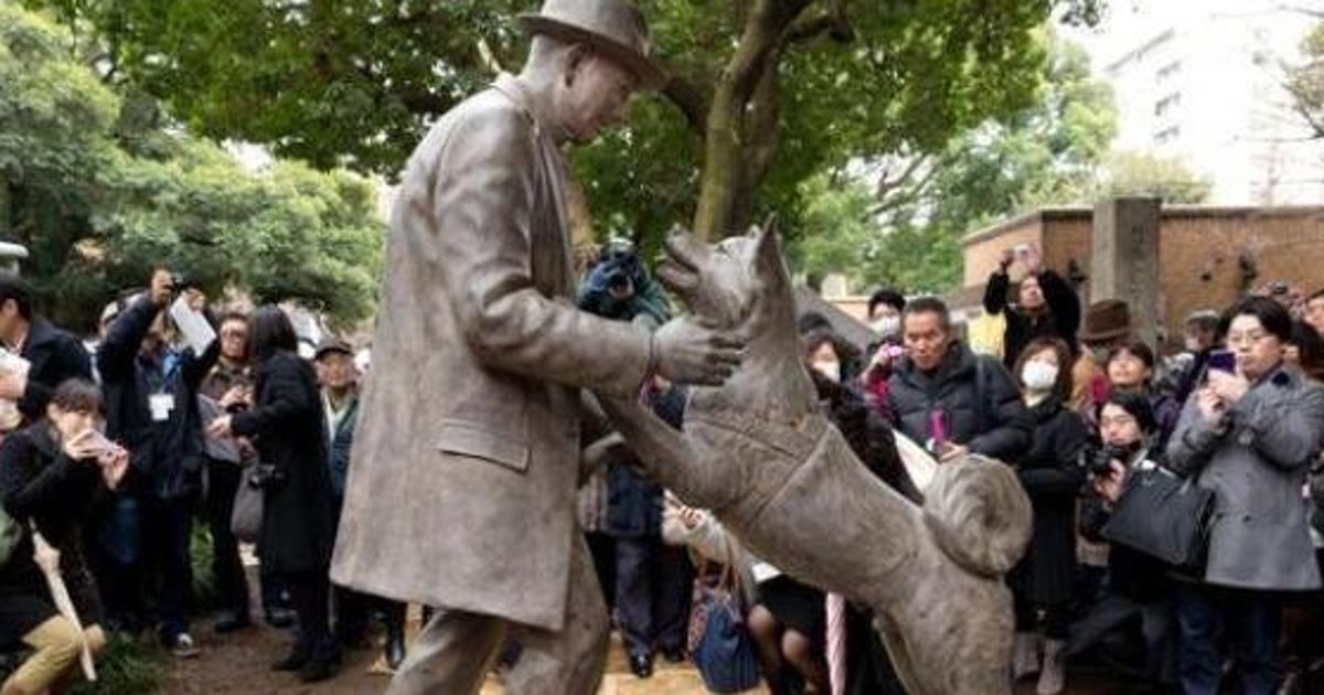 Hachiko, le célèbre chien du Japon a enfin retrouvé son maître (PHOTOS ...