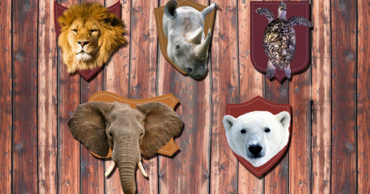 Ces animaux en danger que l'on continue de chasser (INFOGRAPHIE ...