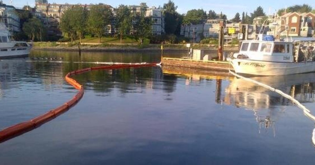 Entre 30 et 1000 litres de diesel se déversent dans une baie de ...