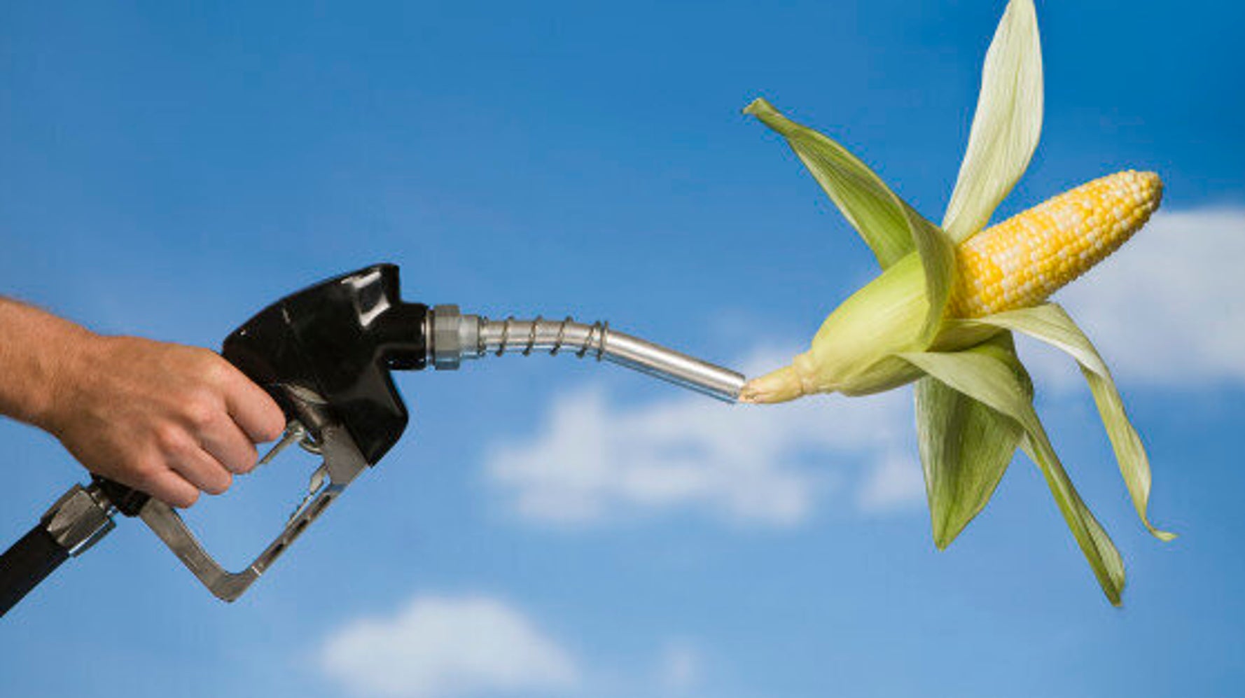 Biocarburant: manger ou conduire, il faut choisir | HuffPost Nouvelles