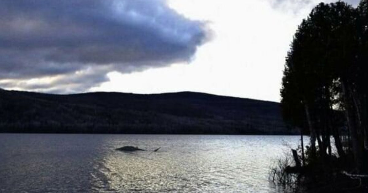 Le retour de Ponik, le monstre du Lac Pohénégamook? (VIDÉO) | HuffPost ...