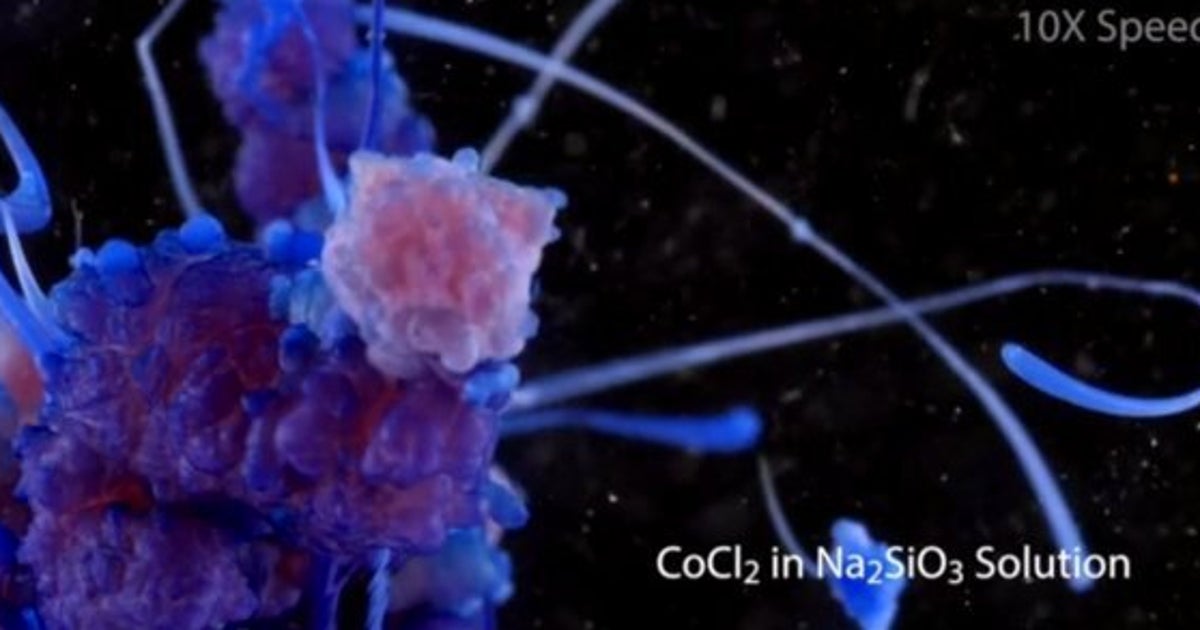 Voici la preuve que des réactions chimiques sont absolument magnifiques ...