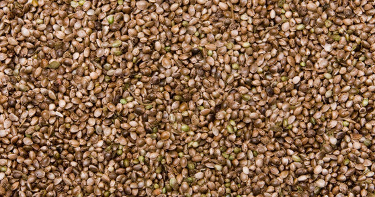 Le chanvre: une plante à découvrir dans notre assiette | HuffPost Vivre