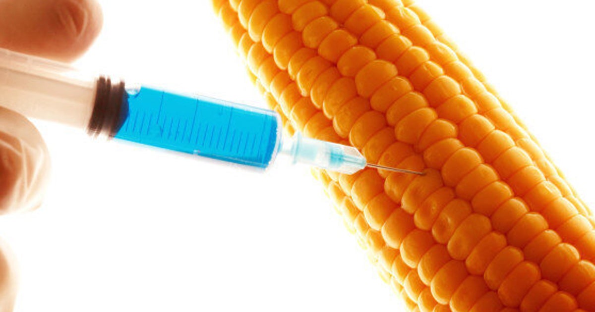 Le Vermont veut étiqueter les aliments qui contiennent des OGM ...