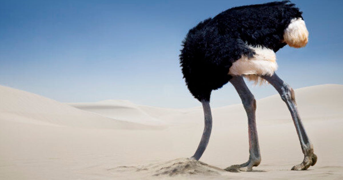 Quand on fait l'autruche... | HuffPost Politique