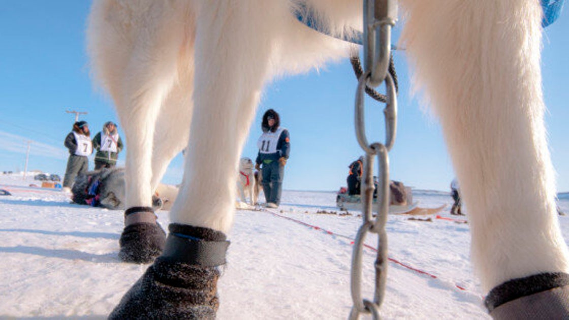Course Ivakkak au Nunavik