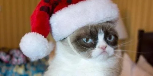 Mèmes De Noël Du Chat Grincheux Joyeux Noël Et Bonnes Fêtes De Fin