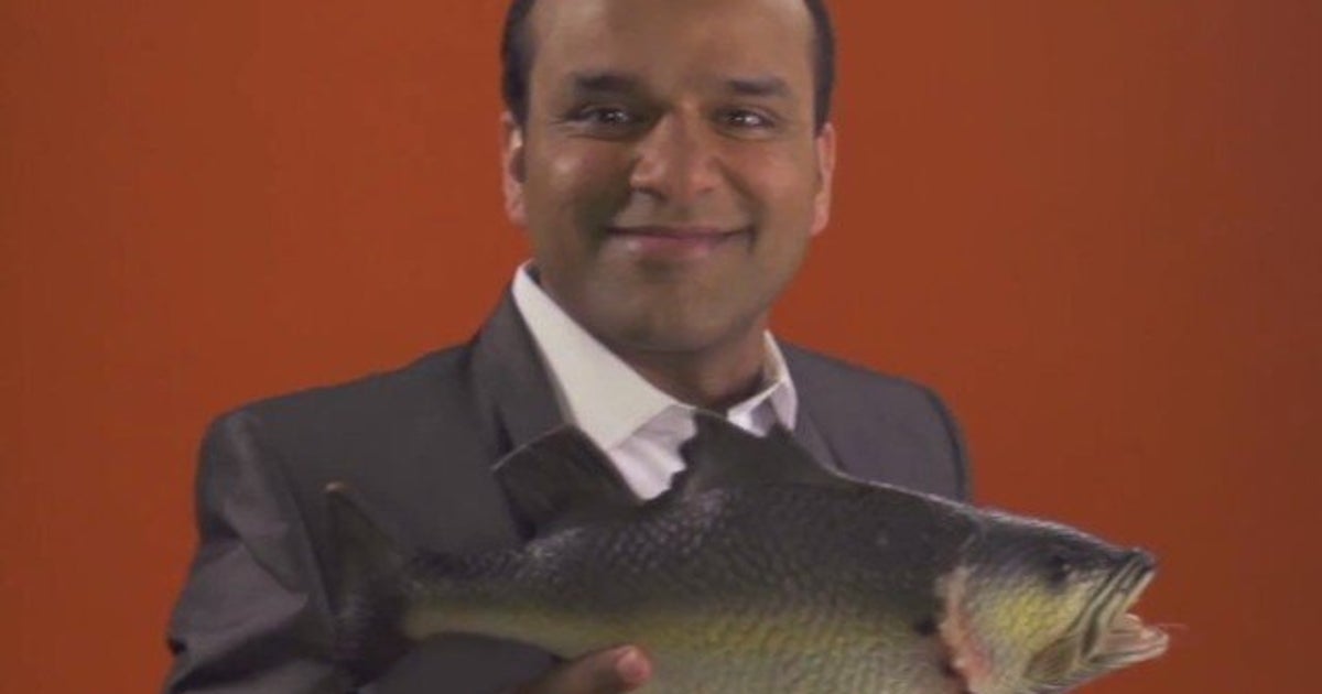 One pound fish: après Psy et Gangnam Style, un vendeur de poisson ...