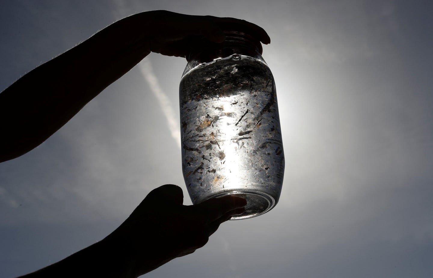 Microplastics Have Invaded Some Of The Planet’s Most Remote Places ...