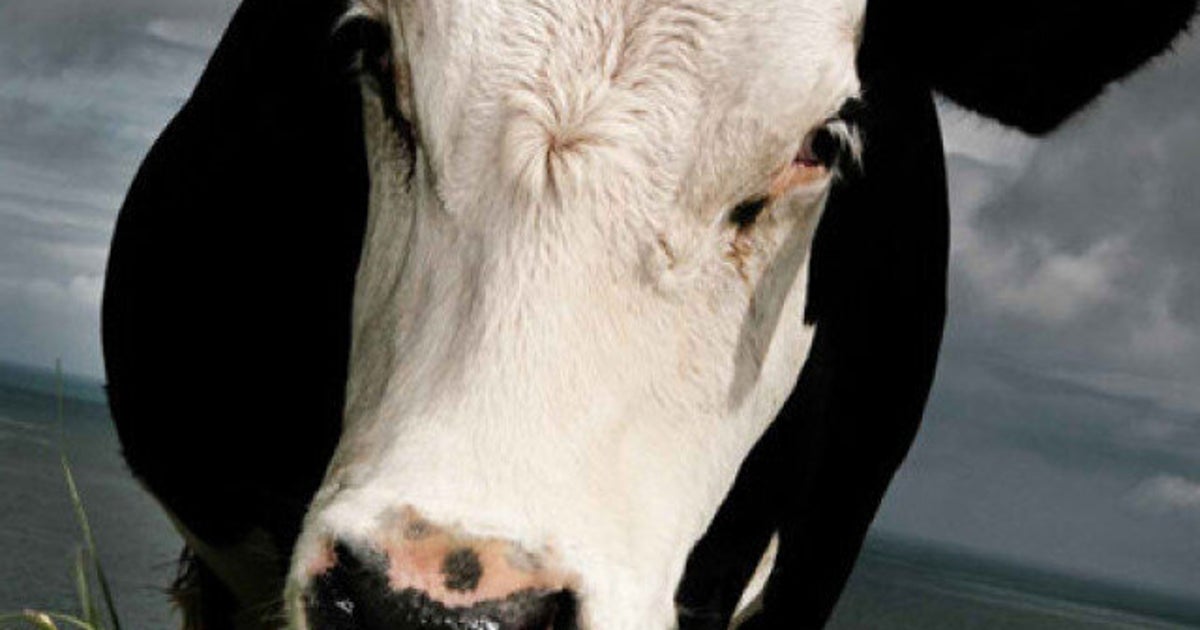 Un cas de la maladie de la vache folle détecté en Californie | HuffPost ...