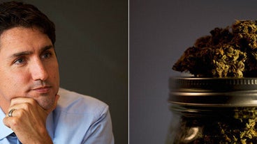 justin trudeau cannabis