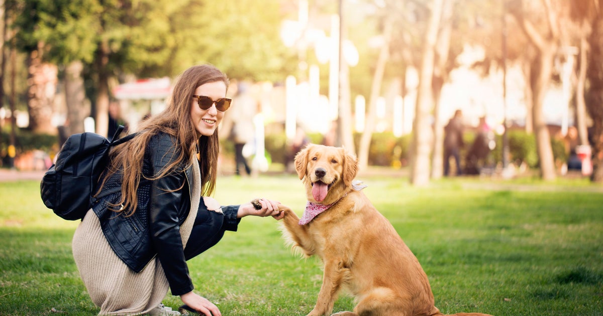 The Proven Health Benefits Of Having A Dog | HuffPost Refresh