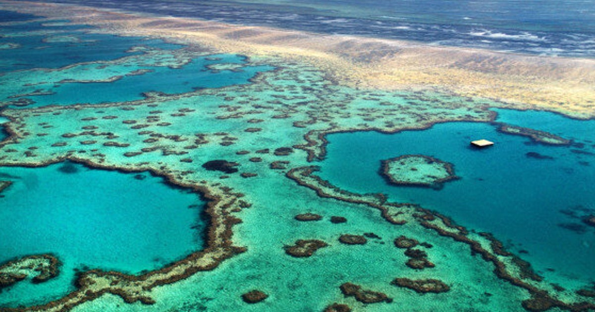 Slip, Slop, Stop Polluting The Great Barrier Reef With Sunscreen ...