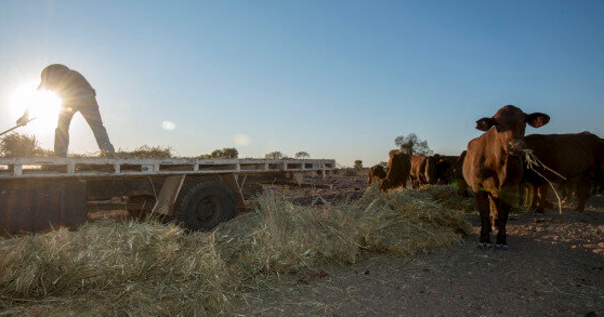 Longreach Drought Stretches Despite Rainfall | HuffPost News