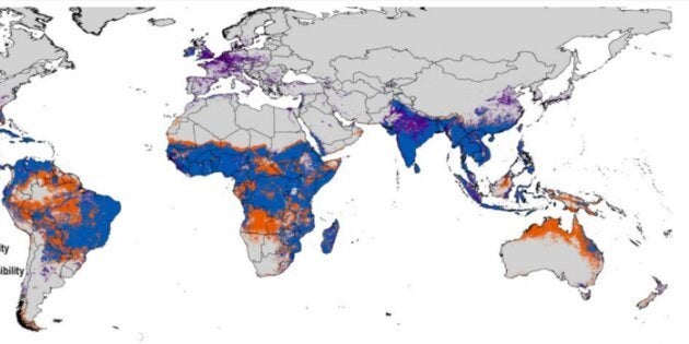 How Likely Are You To Deal With A Zika Outbreak? Check This Map ...