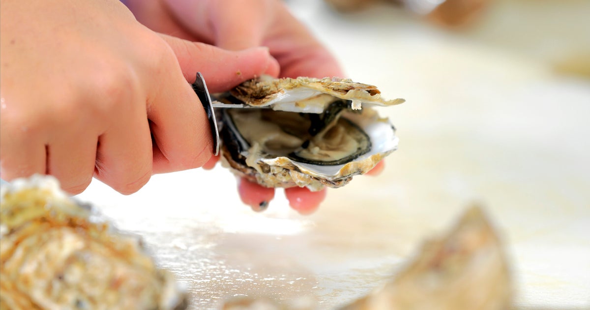 Today's The Day You Become An Oyster-Shucking Master | HuffPost Food ...