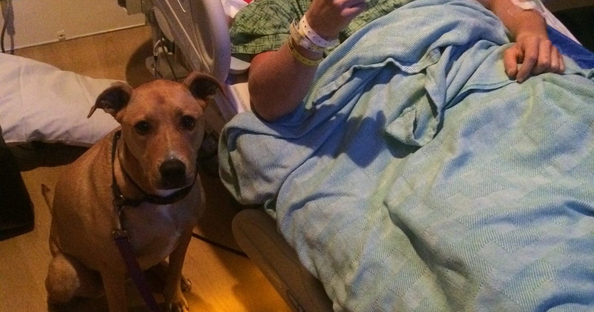 Australian BMX Olympian Sam Willoughby Suffers Spinal Injury Following ...