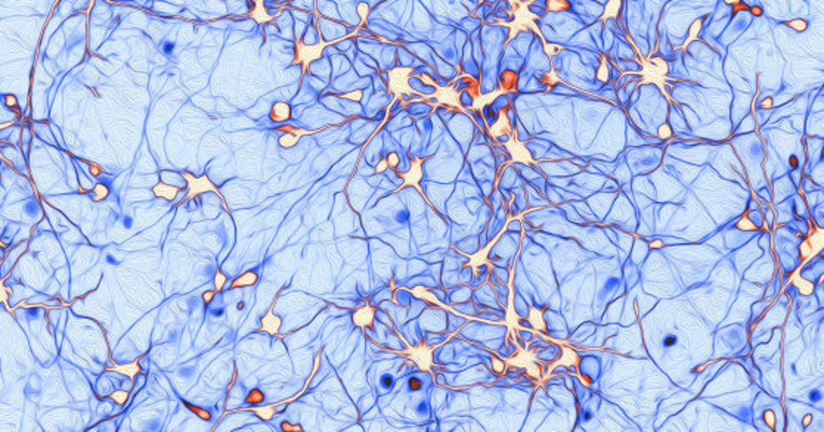These Close-Up Science Pictures Make Beautiful Artwork | HuffPost News