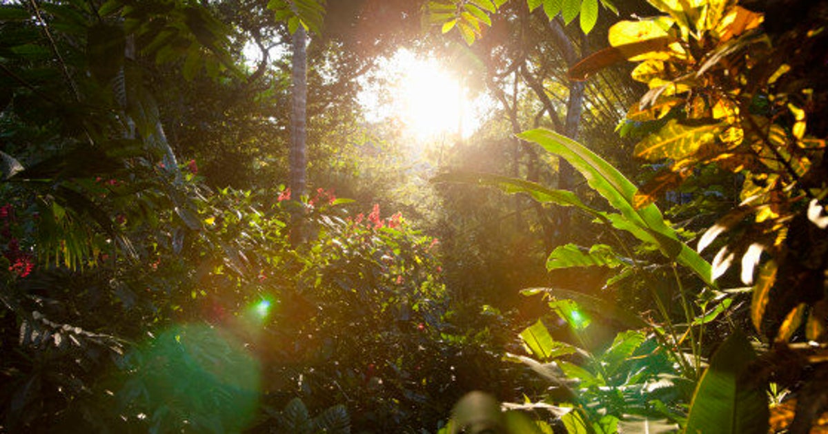 Just Looking At A Picture Of Nature Can Restore Concentration ...